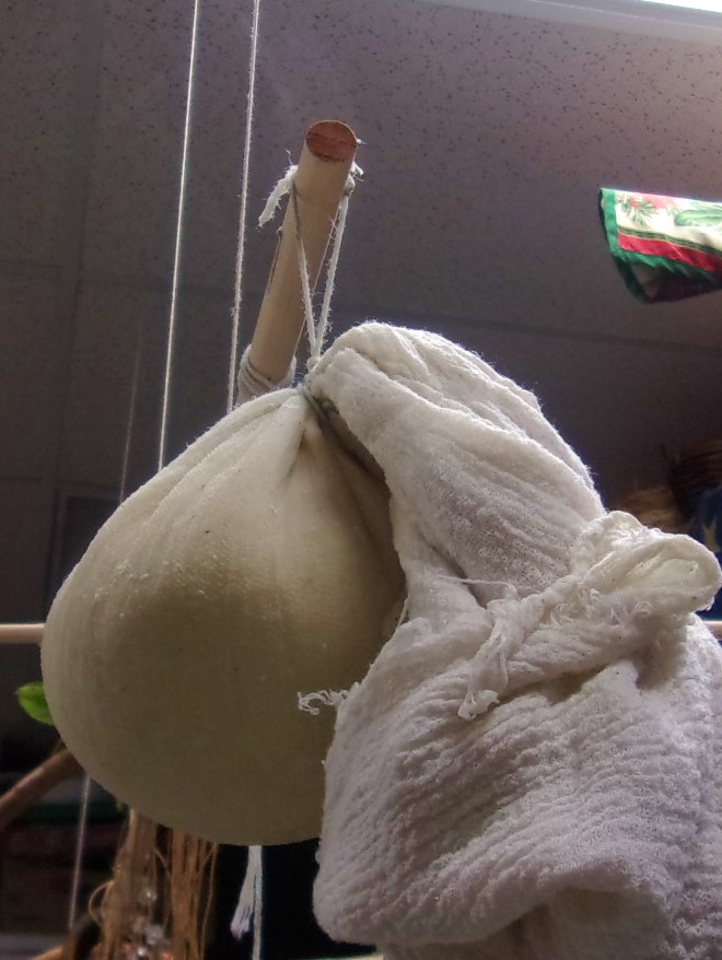 Fig Sap Rennet Cheese Experiments – Anja – House Capuchin 3