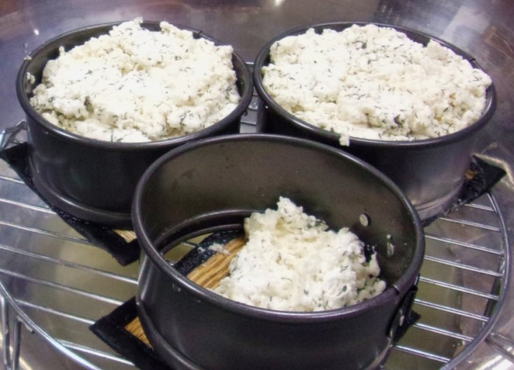 Fig Sap Rennet Cheese Experiments – Anja – House Capuchin 3