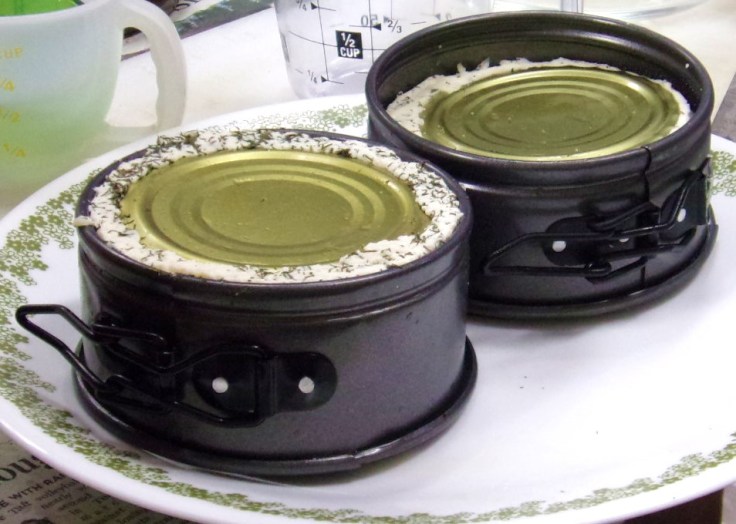 Fig Sap Rennet Cheese Experiments – Anja – House Capuchin 3