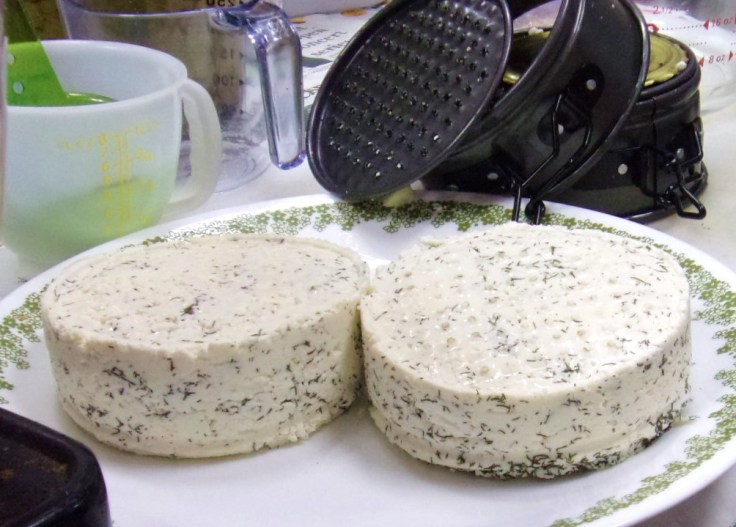 Fig Sap Rennet Cheese Experiments – Anja – House Capuchin 3