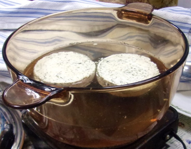Fig Sap Rennet Cheese Experiments – Anja – House Capuchin 3