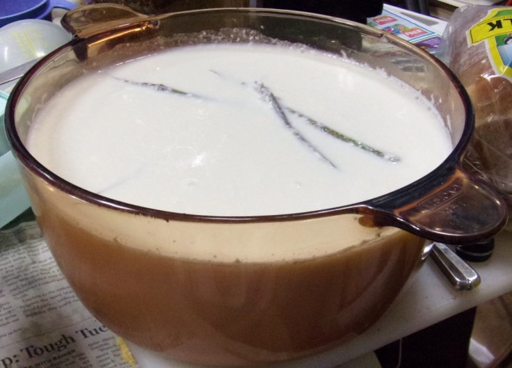 Fig Sap Rennet Cheese Experiments – Anja – House Capuchin 3