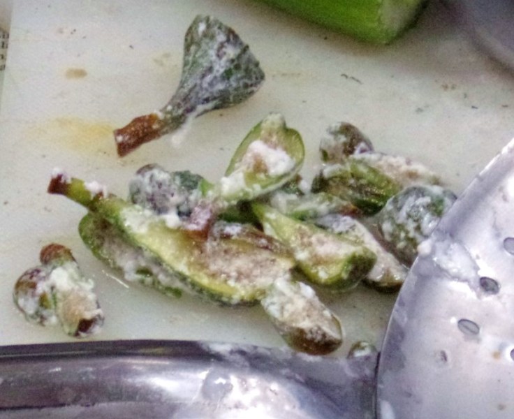 Fig Sap Rennet Cheese Experiments – Anja – House Capuchin 3